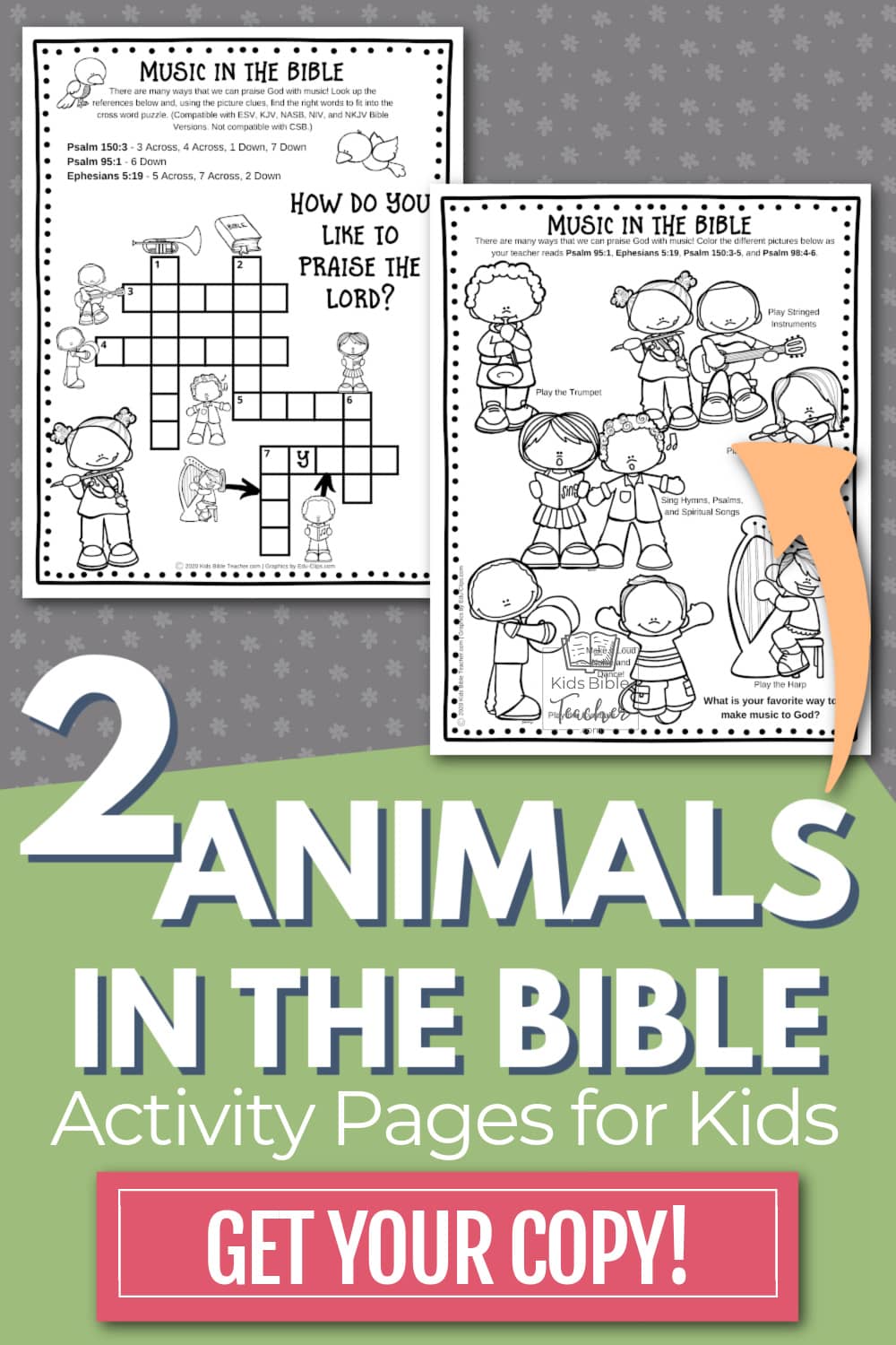 Animals in the Bible Activity Pages - Kids Bible Teacher