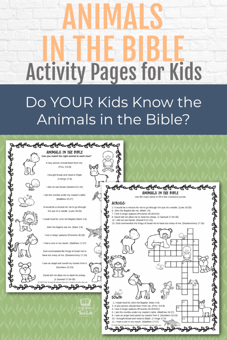 Animals in the Bible Activity Pages - Kids Bible Teacher