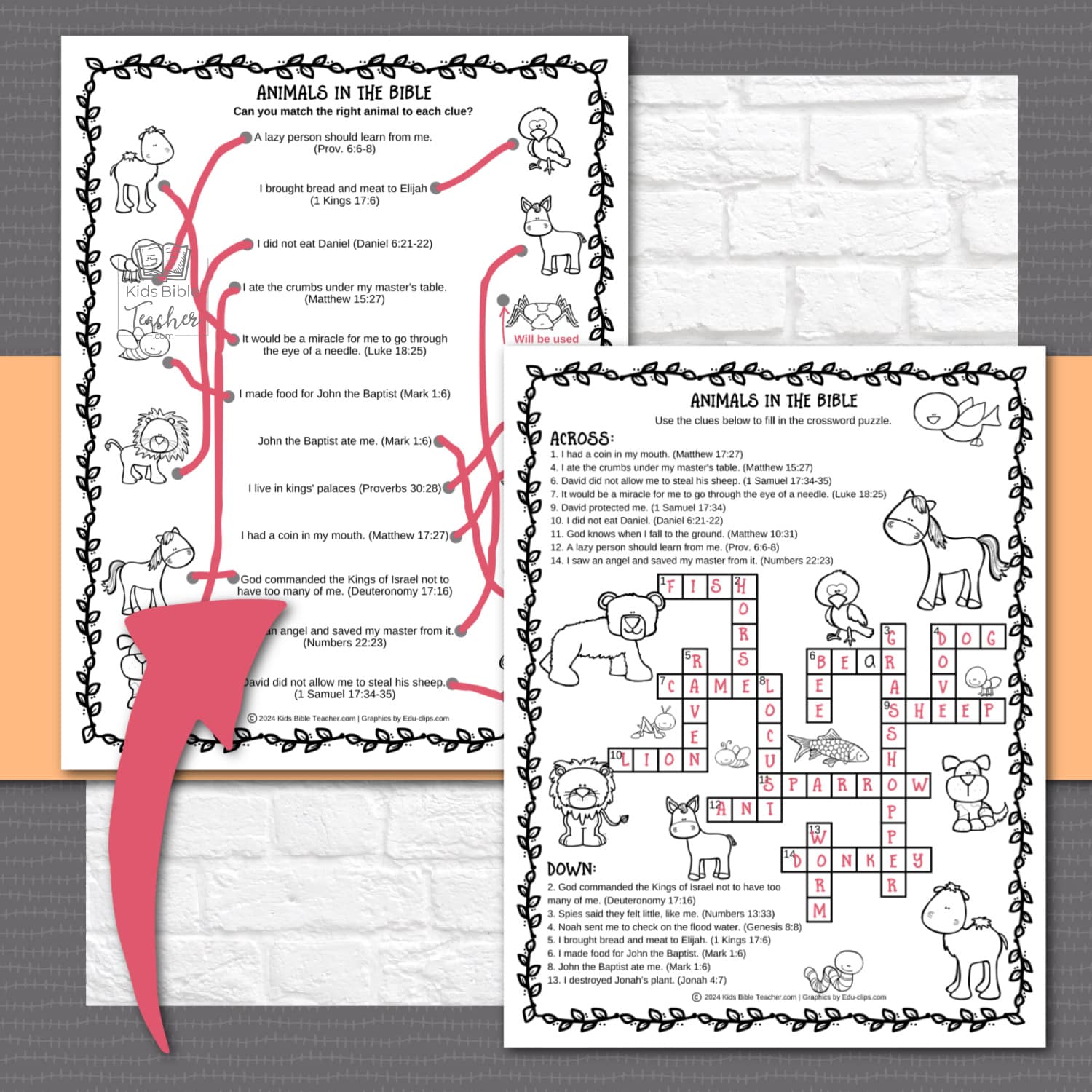 Animals in the Bible Activity Pages - Kids Bible Teacher